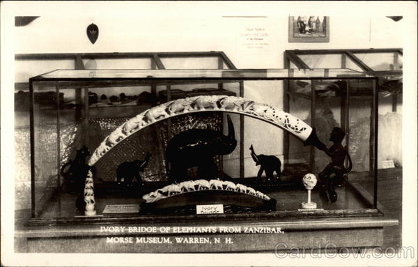 Ivory Bridge of Elephants from Zanzibar, Morse Museum Warren, NH
