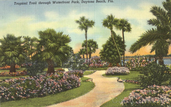 Tropical Trail through Waterfront Park Daytona Beach, FL