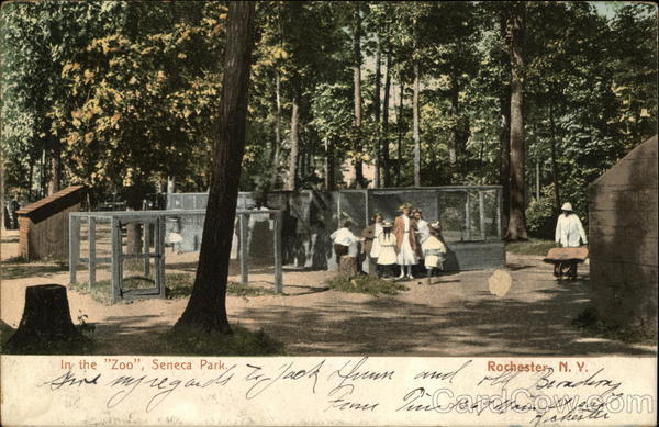 In the "Zoo", Seneca Park Rochester, NY