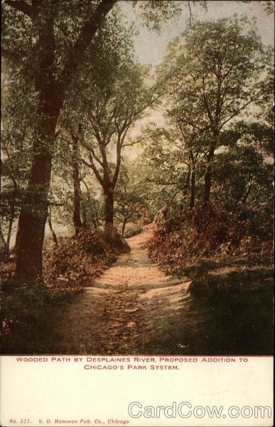 Wooded Path Chicago, IL