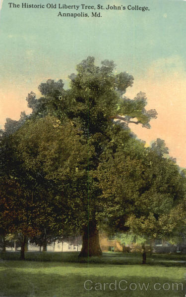 The Historic Old Liberty Tree, St. John's College Annapolis, MD