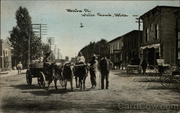 Main Street White Cloud, MI