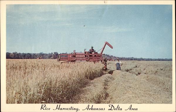 Rice Harvesting, Arkansas Delta Area Farming