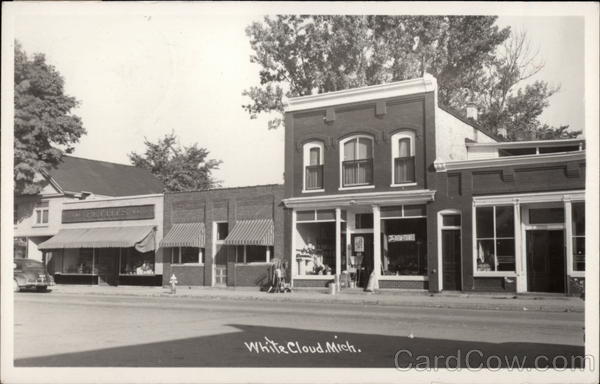 Stores lining street White Cloud, MI