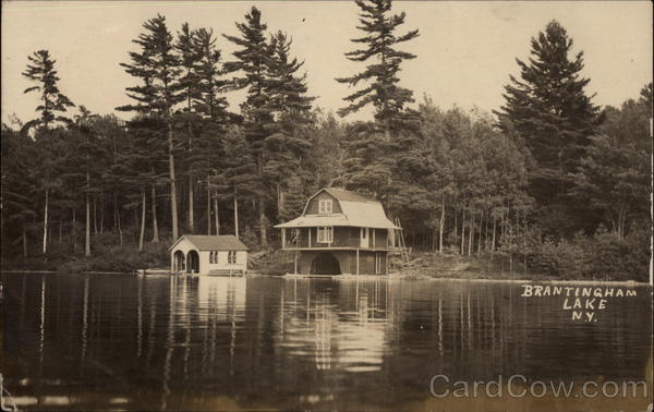 Brantingham Lake View With Trees and Cottage Greig, NY