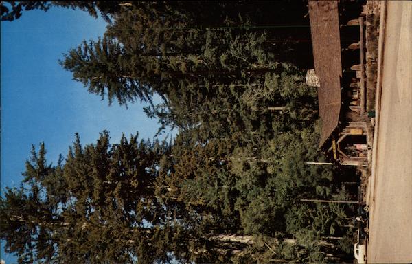 Rangers' Station, Big Basin Redwoods State Park Boulder Creek, CA