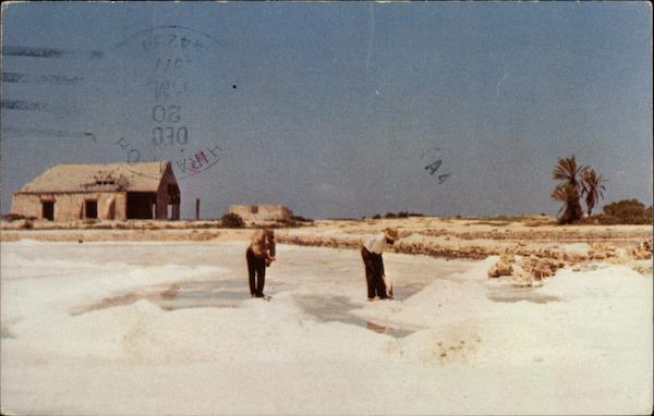 Salt Raking Salt Cay, Turks and Caicos Caribbean Islands