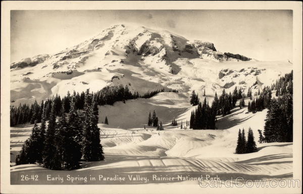Early Spring in Paradise Valley Mount Rainier National Park, WA