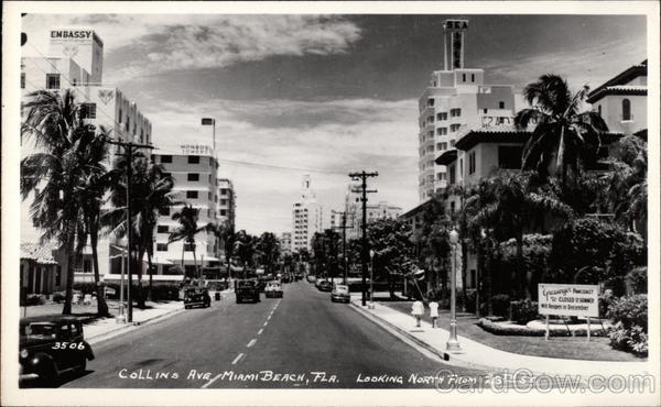 View of Collins Avenue with Palm Trees and Cars Miami Beach, FL
