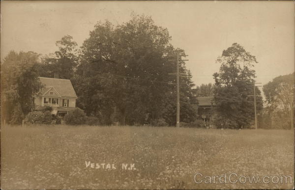 Houses and Field Vestal, NY