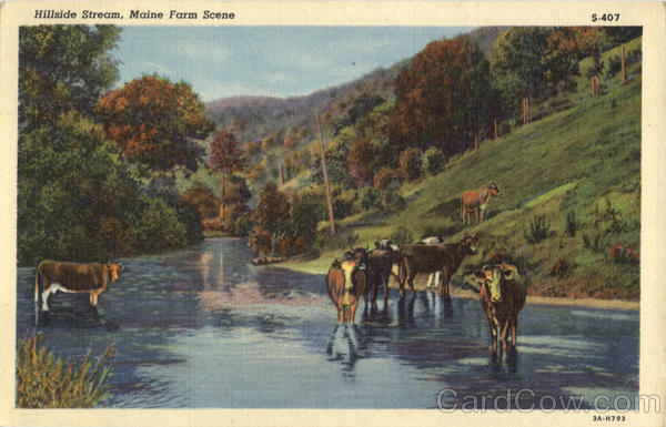 Hillside Stream Scenic, ME