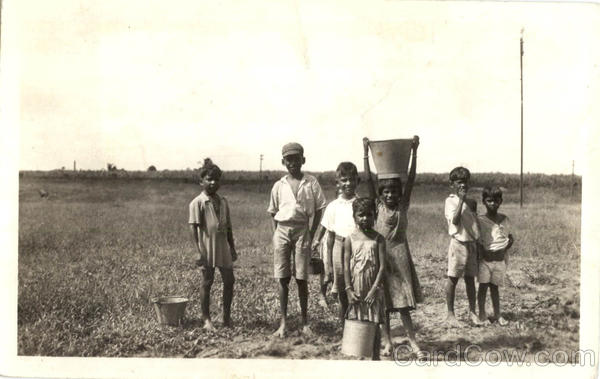 Group of Children working in Field