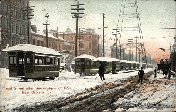 Canal Street after Snow Storm of 1895 New Orleans, LA Canal Street after Snow Storm of 1895 New Orleans, LA