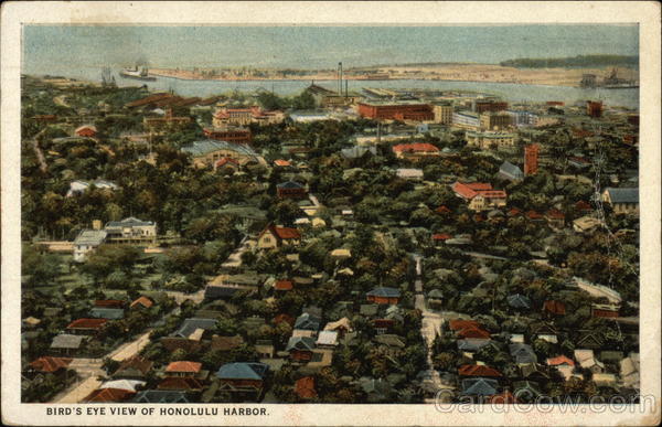 Bird's Eye View of Honolulu Harbor Hawaii