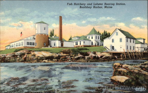 Fish Hatchery & Lobster Rearing Station Boothbay Harbor, ME