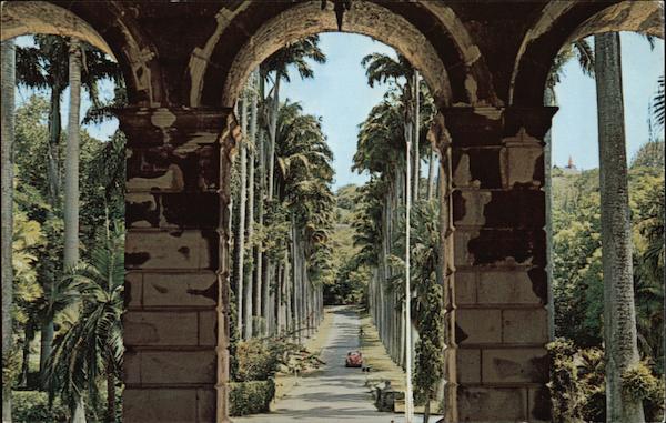 Codrington College - Driveway St. John, Barbados Caribbean Islands