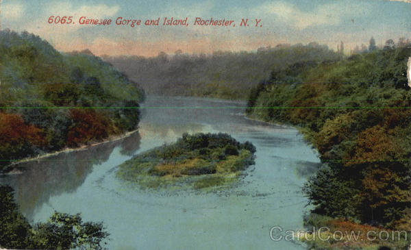 Genesee Gorge And Island Rochester, NY