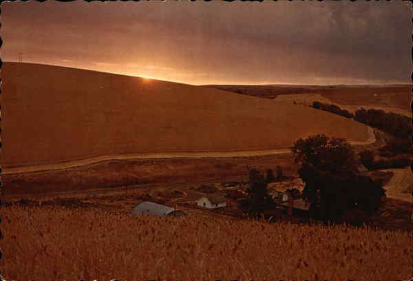 Sunrise on a Wheat Ranch Farming