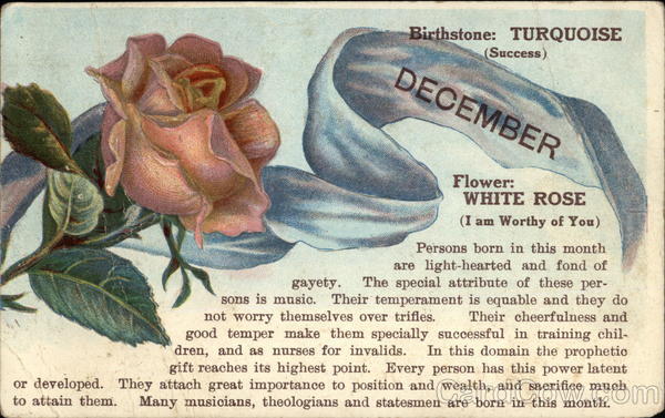 December Birth Month with White Rose Months