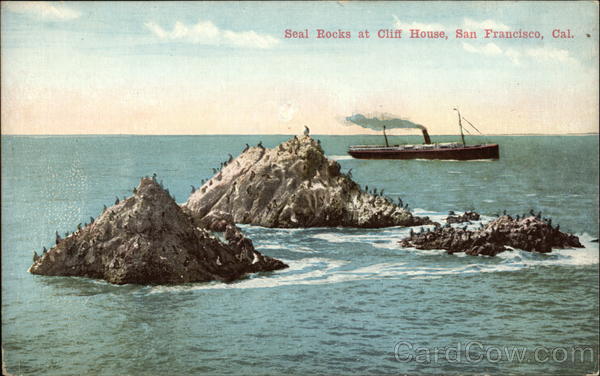 Seal Rocks at Cliff House San Francisco, CA