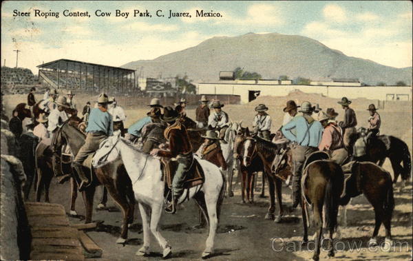 Steer Roping Contest, Cow Boy Park Juarez City, Mexico