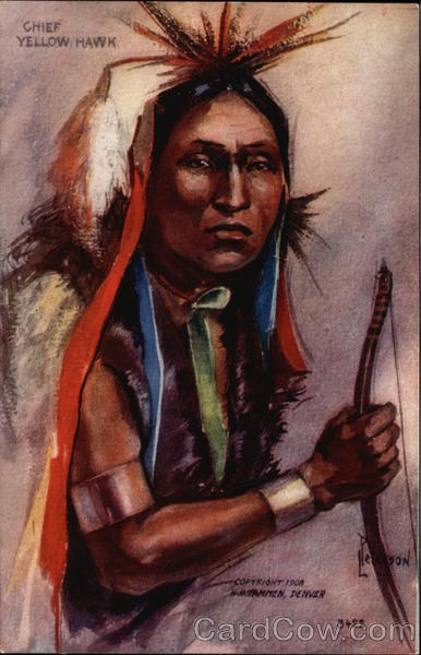 Chief Yellow Hawk Native Americana