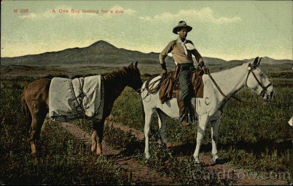 Cow Boy Looking for a Job Cowboy Western