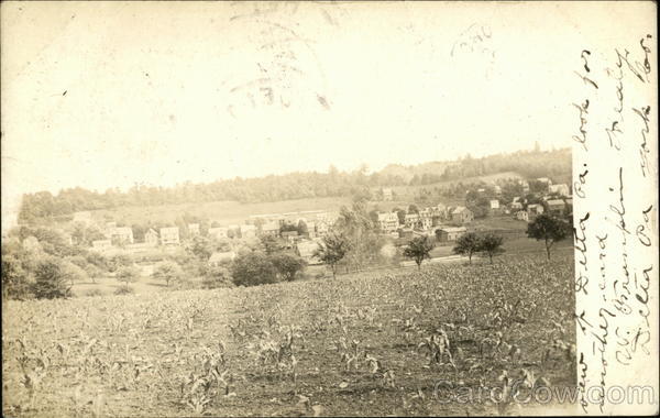 View of Town Delta, PA