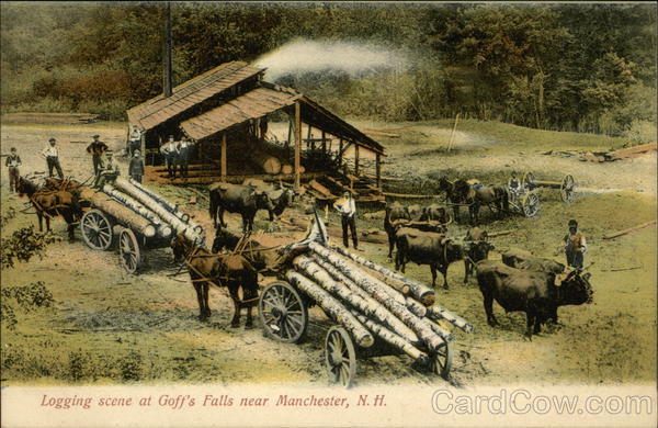 Logging Scene at Goff's Falls Manchester, NH