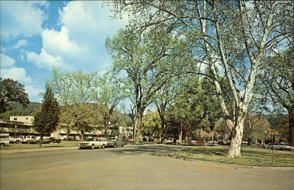 Mendocino State Hospital Talmage, CA