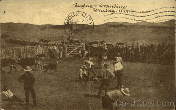 Roping and Branding, Deming, N.M Cowboy Western