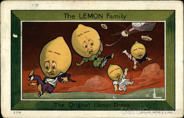 The Lemon Family The Whole Family