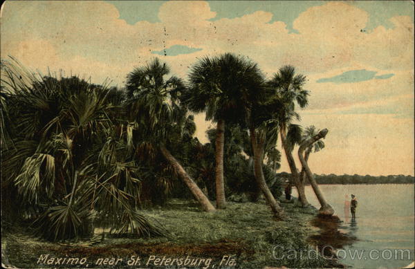Maximo St. Petersburg, FL