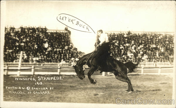 Man on Bucking Horse - Stampede, Rodeo Winnipeg, MB Canada Manitoba ...