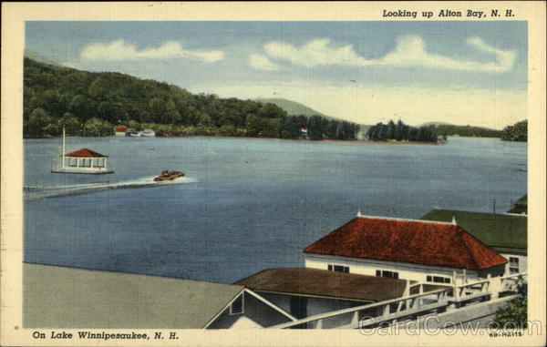 Looking Up Alton Bay New Hampshire Postcard
