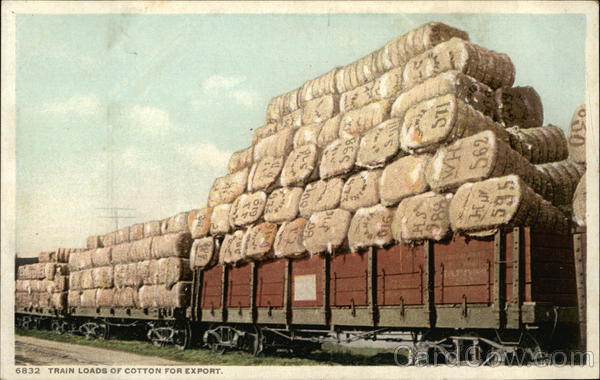 Train Loads of Cotton For Export Trains, Railroad Postcard