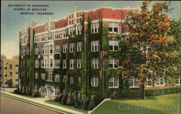 University of Tennessee, School of Medicine Memphis, TN Postcard