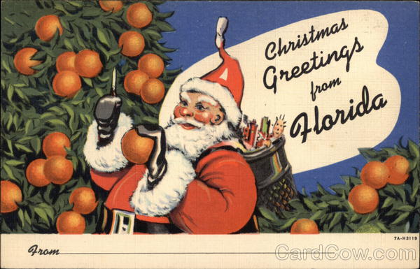 Christmas Greetings from Florida Santa Claus Postcard