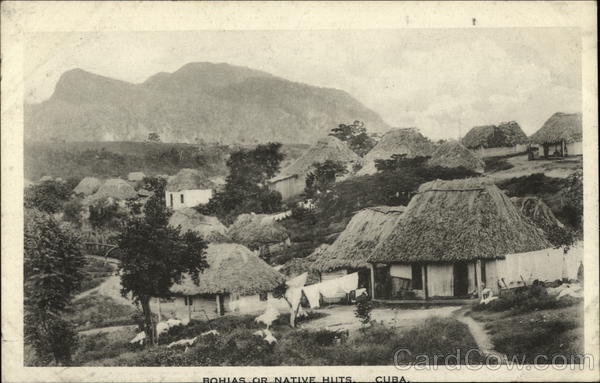 Native Huts Cuba Postcard