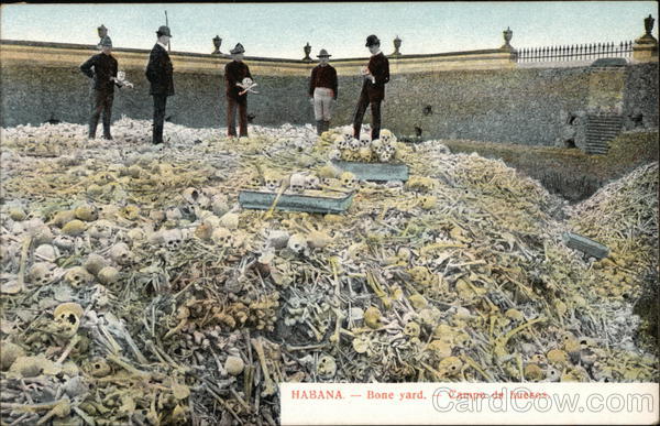 Bone Yard Havana, Cuba