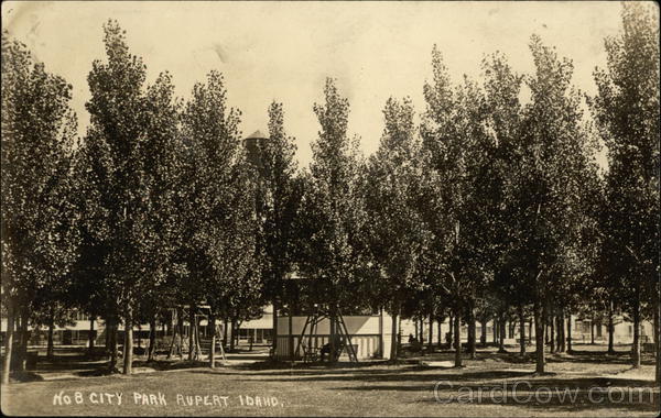 No 8 City Park Rupert, ID Postcard