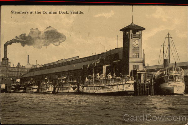 Steamers at the Colman Dock Seattle, WA Postcard