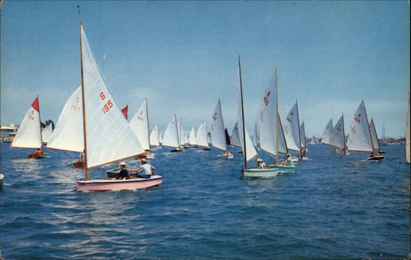 Flight of the Snowbirds Sailboats Postcard