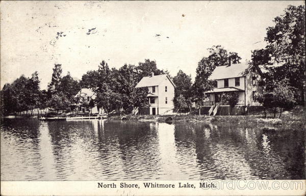 Water View of Houses along the North Shore Whitmore Lake, MI Postcard