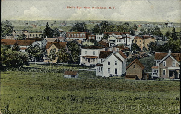Bird's Eye View of Town Williamson, NY Postcard