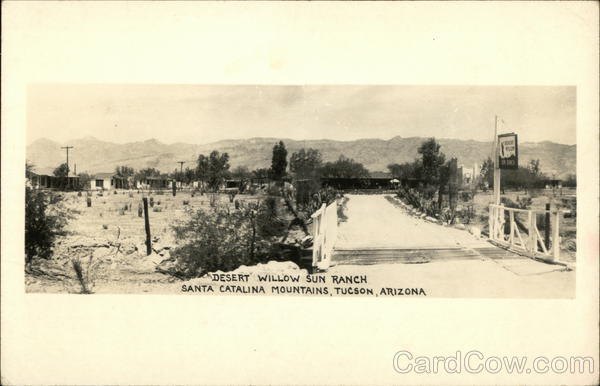 Desert Willow Sun Ranch, Santa Catalina Mountains Tucson, AZ Postcard