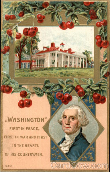 Celebrating President George Washington, With Cherries Presidents Postcard