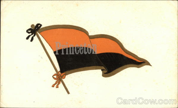Princeton University Flag New Jersey School Pennants Postcard