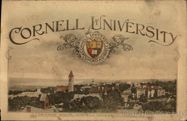 Cornell University Campus Universities Postcard