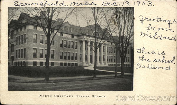 North Chestnut Street School Springfield, MA Postcard